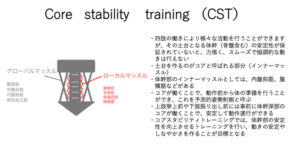 腹筋群の段階的機能評価！SahrmannのCore Stability Testを参考に！ | 自分でできるボディワーク