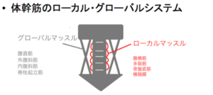 腹筋群の段階的機能評価！SahrmannのCore Stability Testを参考に！ | 自分でできるボディワーク